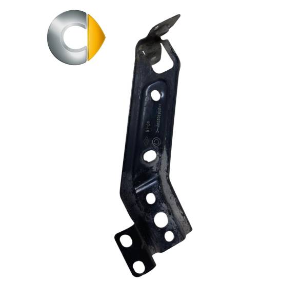 SUPPORTO PARAFANGO SMART Forfour 453 A4536202000 (14>)