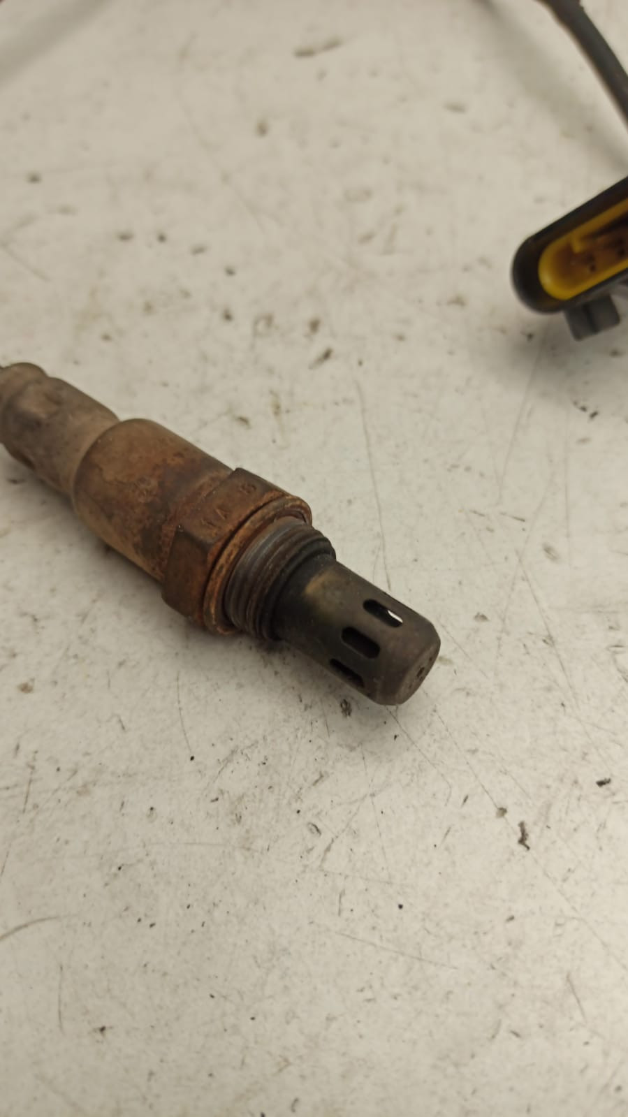 SONDA LAMBDA FIAT 500 Serie benzina 900 (15>)