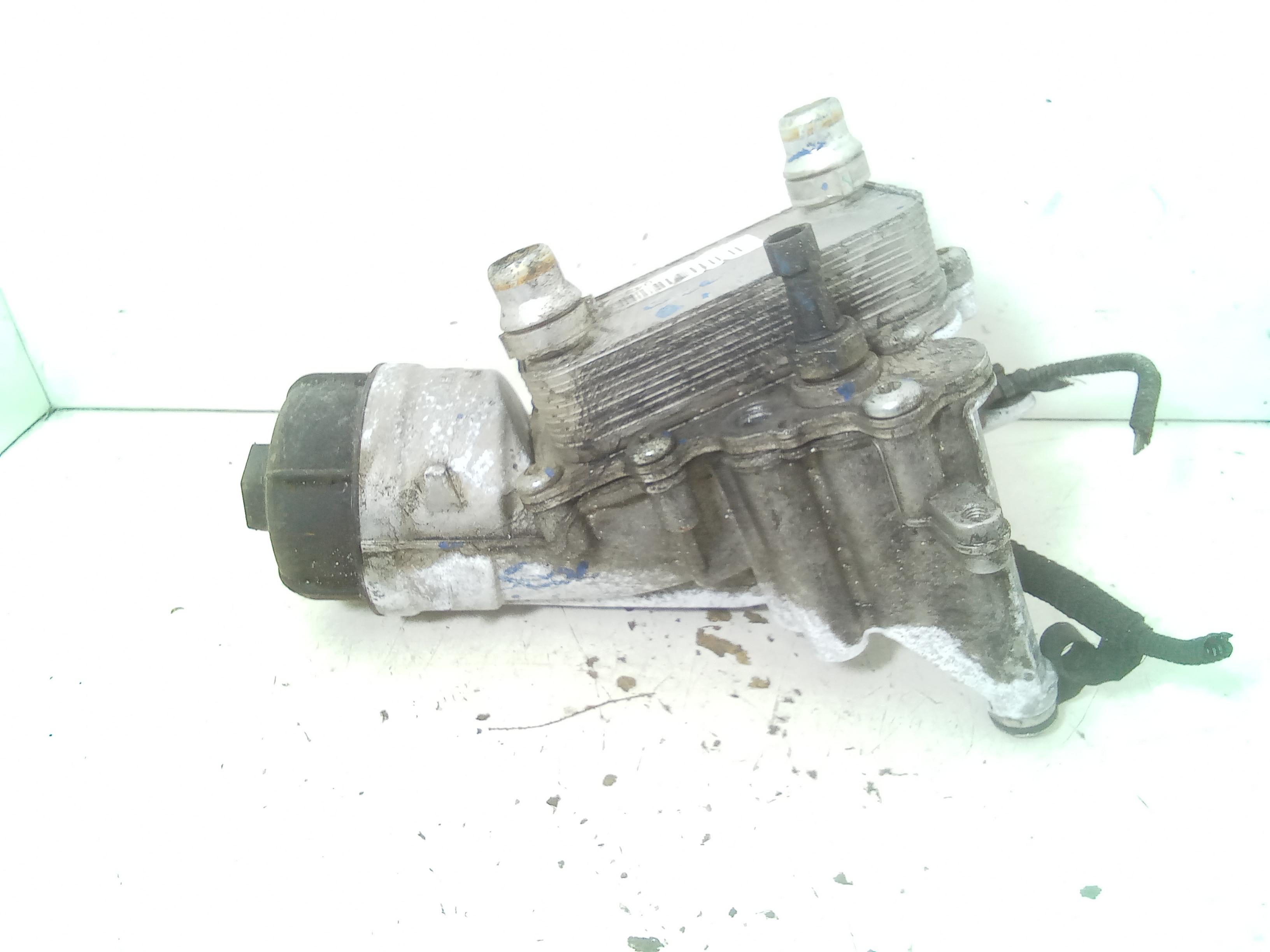 SCAMBIATORE ACQUA/OLIO FIAT 500 Serie 55273043 Diesel 1600 (15>)