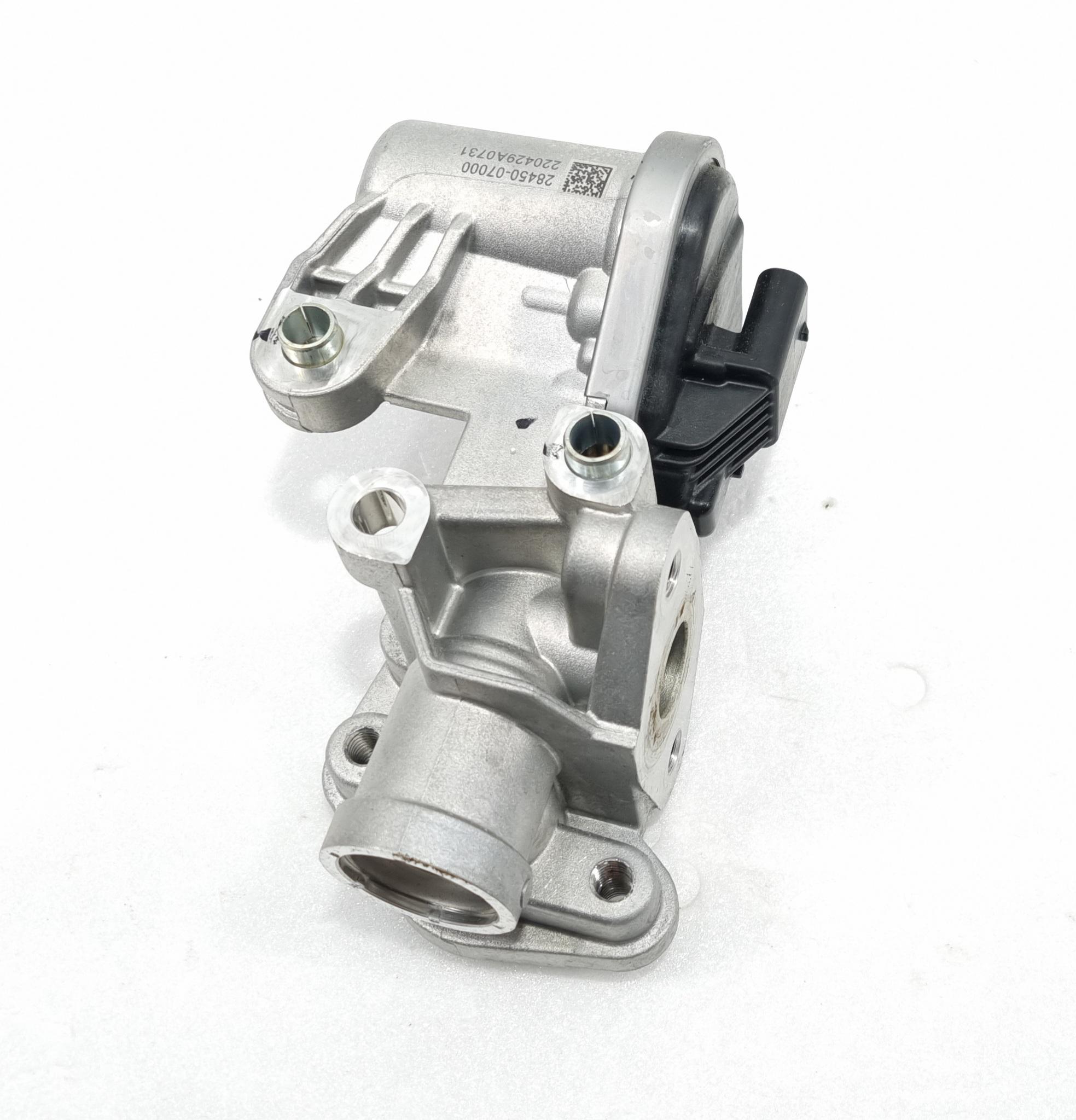 VALVOLA RICICLO GAS KIA Picanto Serie 28450-07000 G3LA, G3LD Bifuel/Gas ...