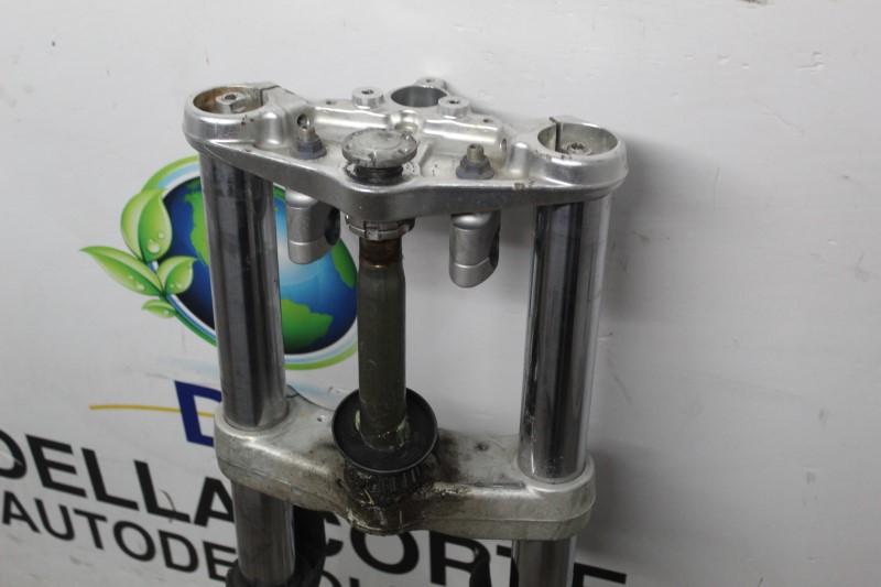 FORCELLA ANTERIORE COMPLETA TRIUMPH Speed Triple 1050cc (05>11)